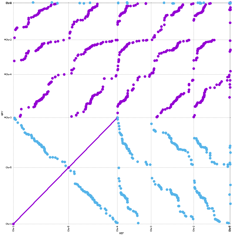 Self alignment not yielding diagonal graph · Issue #88 · mummer4/mummer · GitHub
