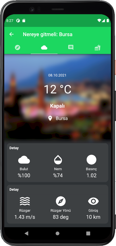 GitHub - Abinash018/TRAVELGUIDE-flutter-APP