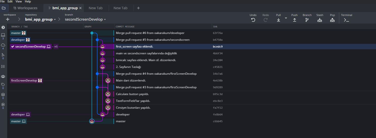 GitHub - oakarakum/bmi_app_group