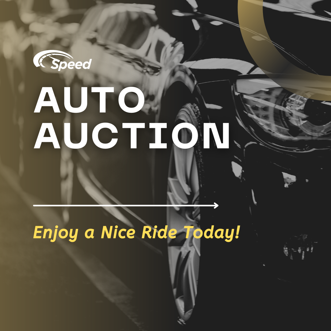 GitHub - silviaolinger/autoAuction