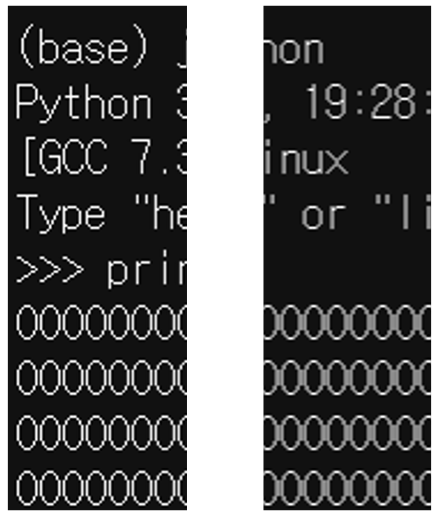 Jupyter Labs Terminal Renders Text Somewhat Blurry · Issue 8139