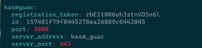 [Bug] - Invalid auth token for connection_proxy - api/guac_get_managers · Issue #374 · kasmtech ...