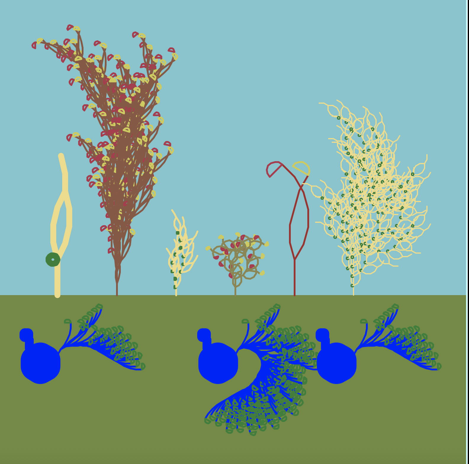 GitHub - hannahsoria/L-System-Peacocks