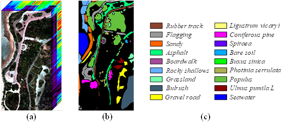 GitHub - RsAI-lab/QUH-classification-dataset: Qingdao UAV-borne HSI (QUH) dataset for precise ...
