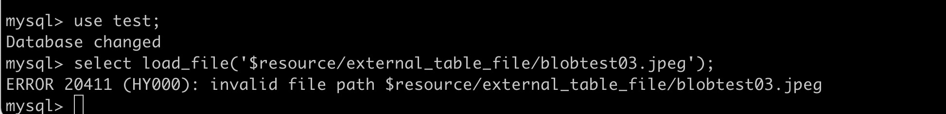 [Bug]: blob load_file invalid path file reported panic error · Issue #6304 · matrixorigin ...