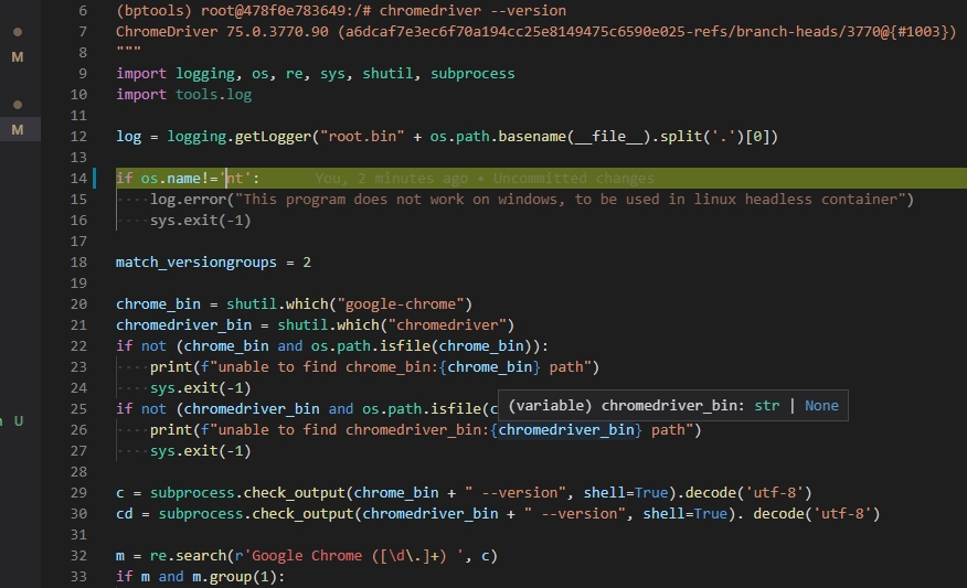 Pylance Evaluates Code In Realtime So Linux Code In Unreachable On