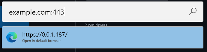 Run generates broken URL for {host}:{port} term. · Issue #13760 ...