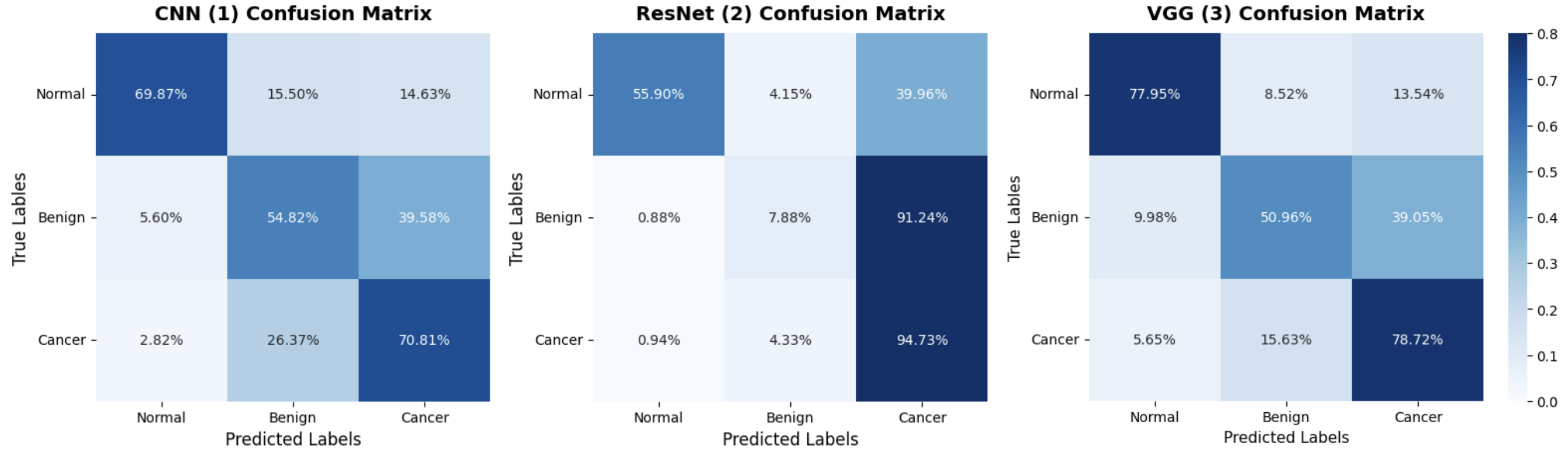 GitHub - ambrim/breast_cancer_detection: COS429 Computer Vision Final Project classifying ...