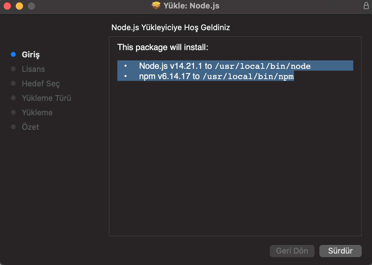 Installing Appium Uiautomator2 Driver After 200 Beta46 Update Failed · Issue 17614
