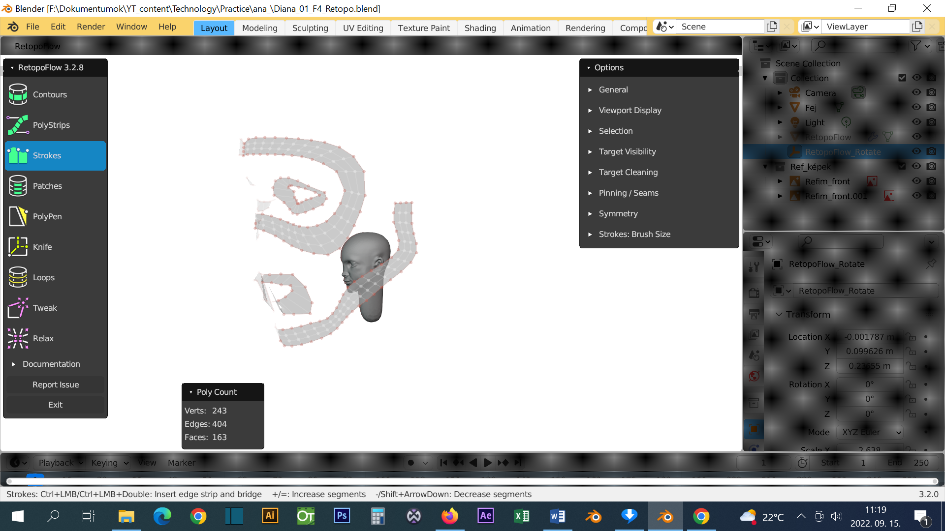 [BUG] Target mesh is scaled up largely, when reopening an earlier retopo project · Issue #1157 ...