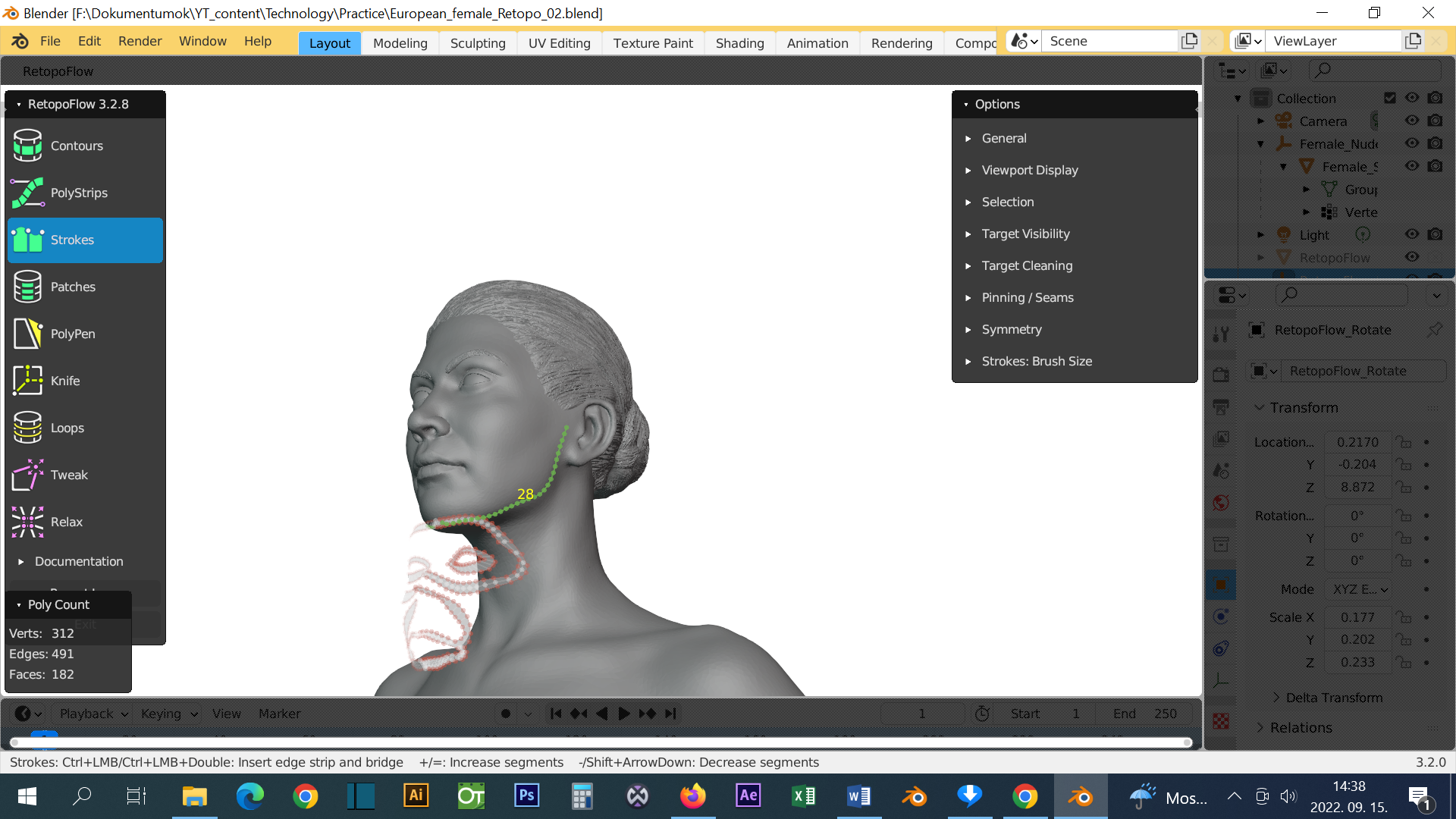 [BUG] Target mesh jumps off the source mesh after "Undo" or when decreasing the number of ...