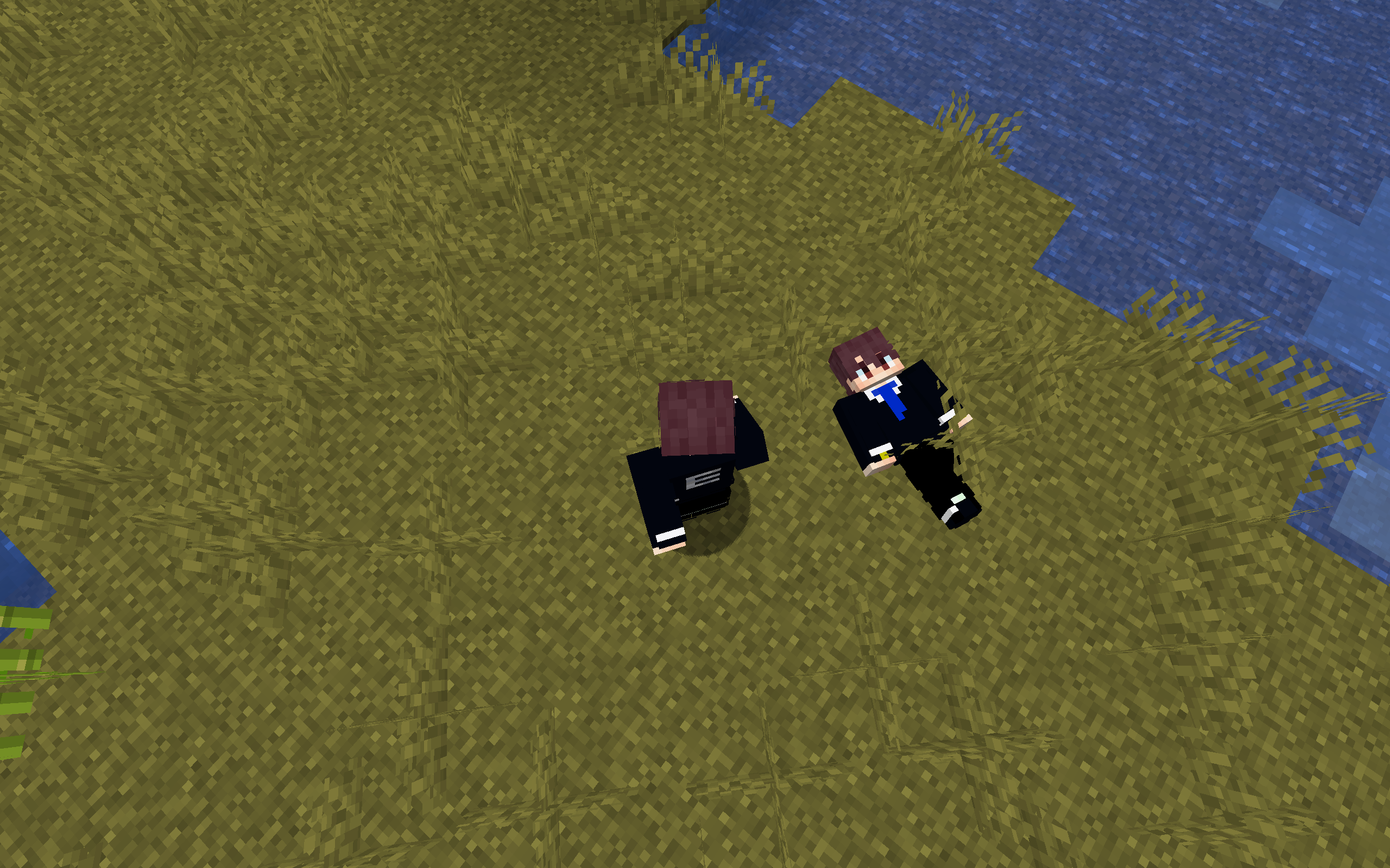 [Compatability] Compatability with corpse mod · Issue #517 · tom5454/CustomPlayerModels · GitHub