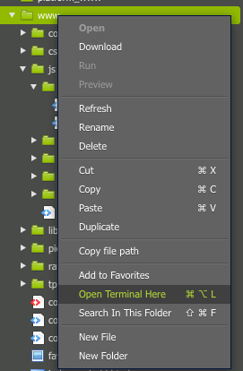 C9v3 Look option · Issue #54 · pylonide/pylon · GitHub