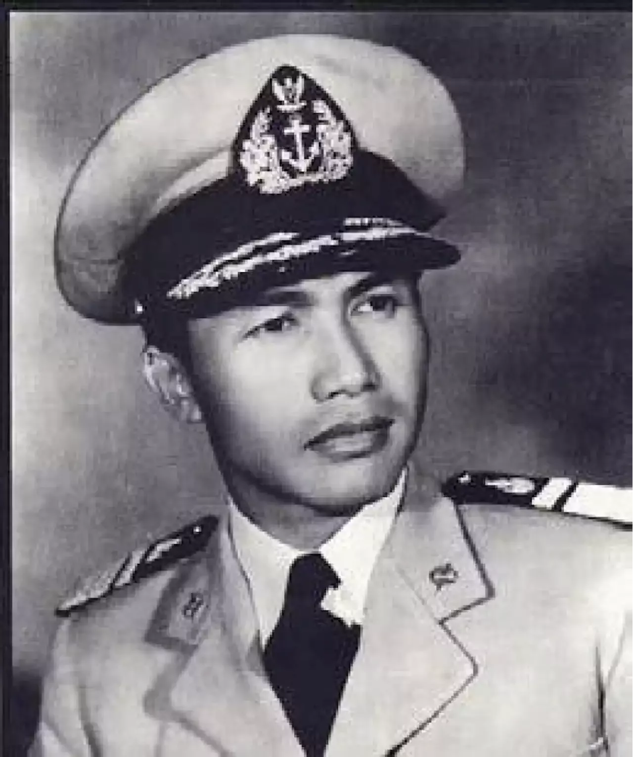 Various tags - Suggested commanders and portrait alterations · Issue ...