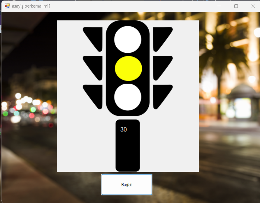 GitHub - selinpir/cSharpEgzersizler