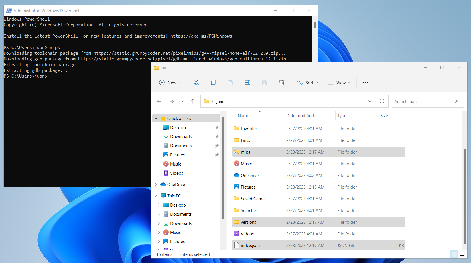The MIPS environment variables are incorrectly configured (Windows ...
