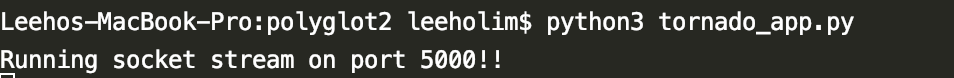 server function not being triggered by client call? · Issue #1049 · miguelgrinberg/Flask ...