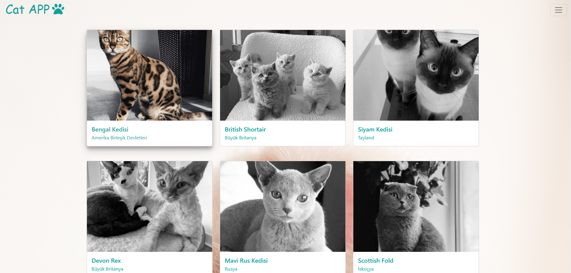 GitHub - MBeklevic/cat_app