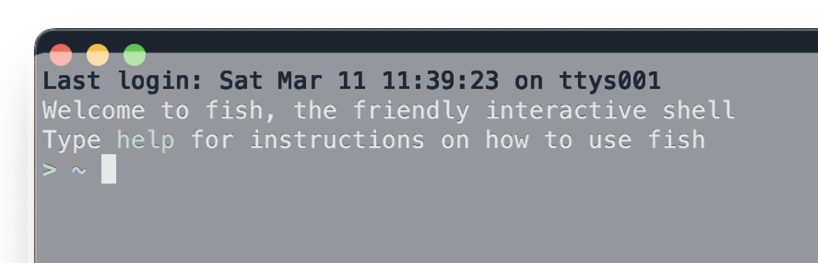 Font width rendering issue? · Issue #6768 · alacritty/alacritty · GitHub