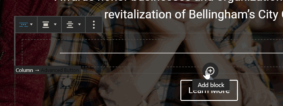 Resizing Spacer block · Issue #63 · stellarwp/kadence-blocks · GitHub