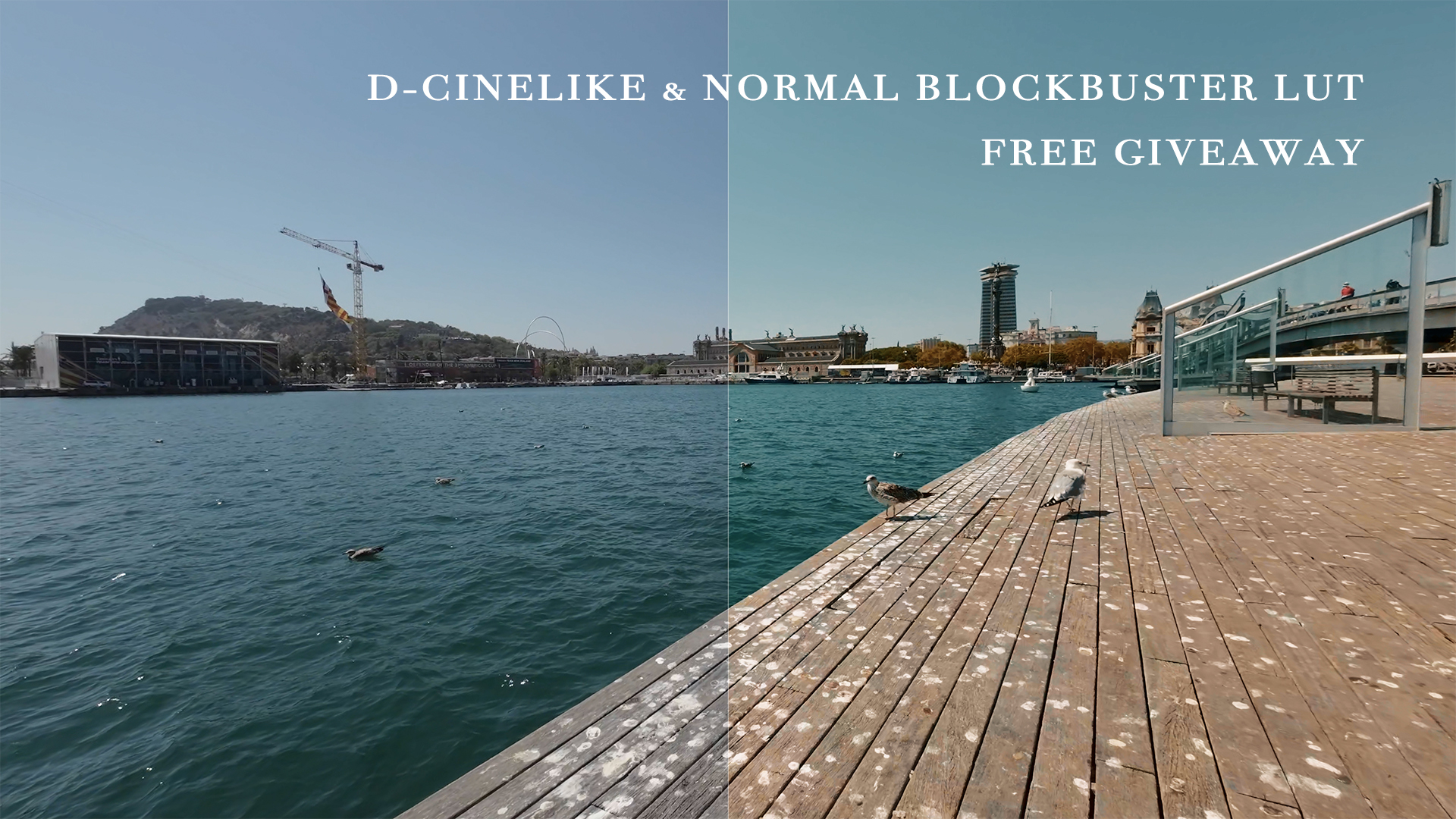 GitHub - IRCGraphic/D-Cinelike-and-Normal-Blockbuster-LUTs: A public repository of a Blockbuster ...