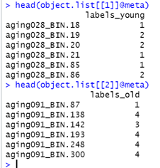 Error in `.rowNamesDF