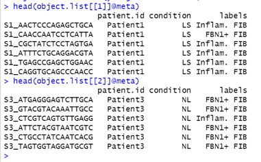 Error in `.rowNamesDF