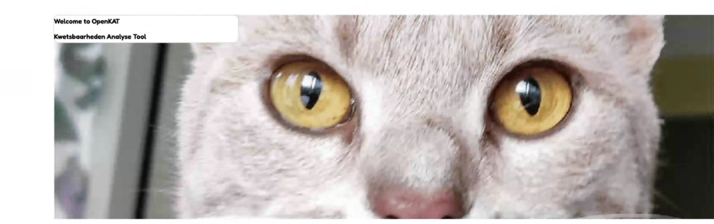 Hero alignment - Pre login page · Issue #894 · minvws/nl-kat-coordination · GitHub