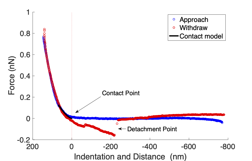 GitHub - jpsferreira/AFM_curve_analysis_in_MATLAB