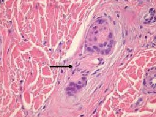 GitHub - cxnoii/Pharmaceutical_Analysis