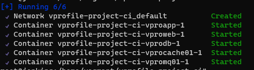 GitHub - Filip3Kx/vprofile-project-ci: Forked project from my course to practice CI/CD on