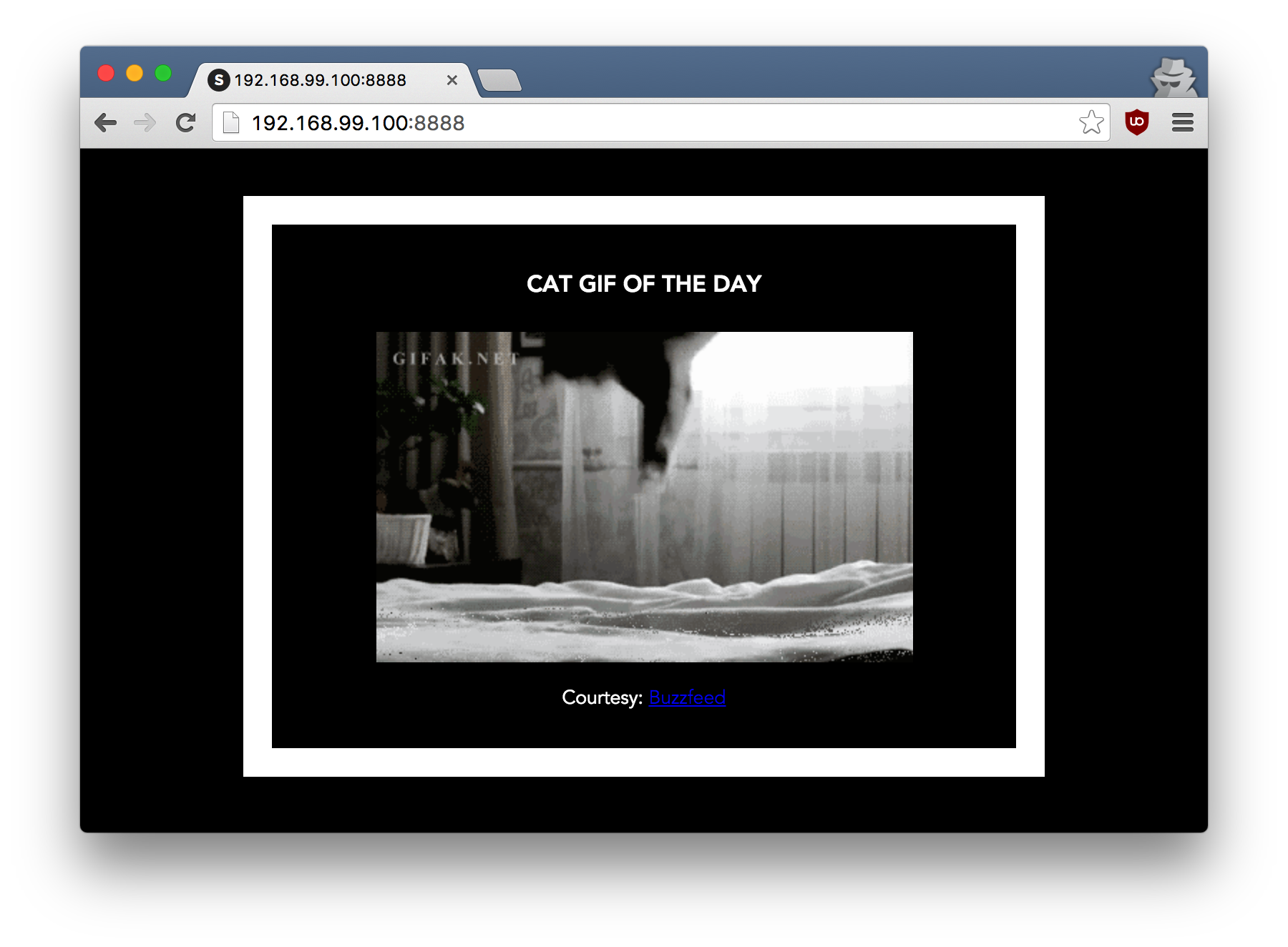 GitHub - SteveGoldman1/devschool