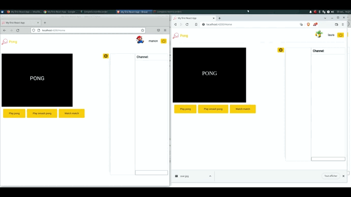 GitHub - SEBSarDev/FT_TRANSCENDENCE: First full-stack web application in nestjs and react.