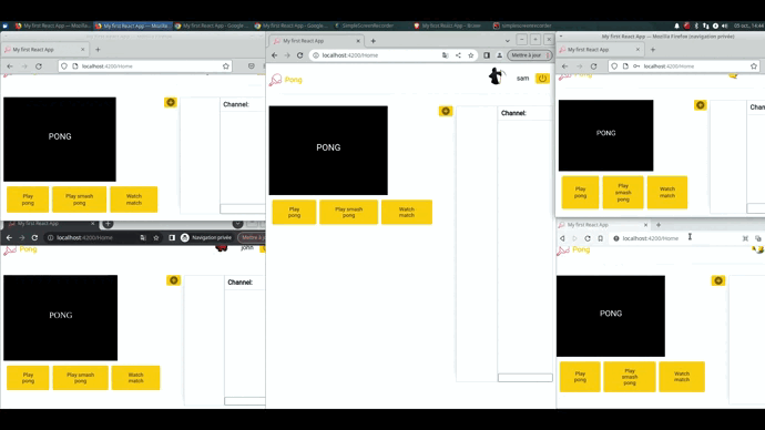 GitHub - SEBSarDev/FT_TRANSCENDENCE: First full-stack web application in nestjs and react.
