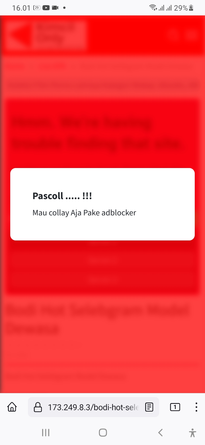 KimcilOnly (173.249.8.3) · Issue #1349 · realodix/AdBlockID · GitHub