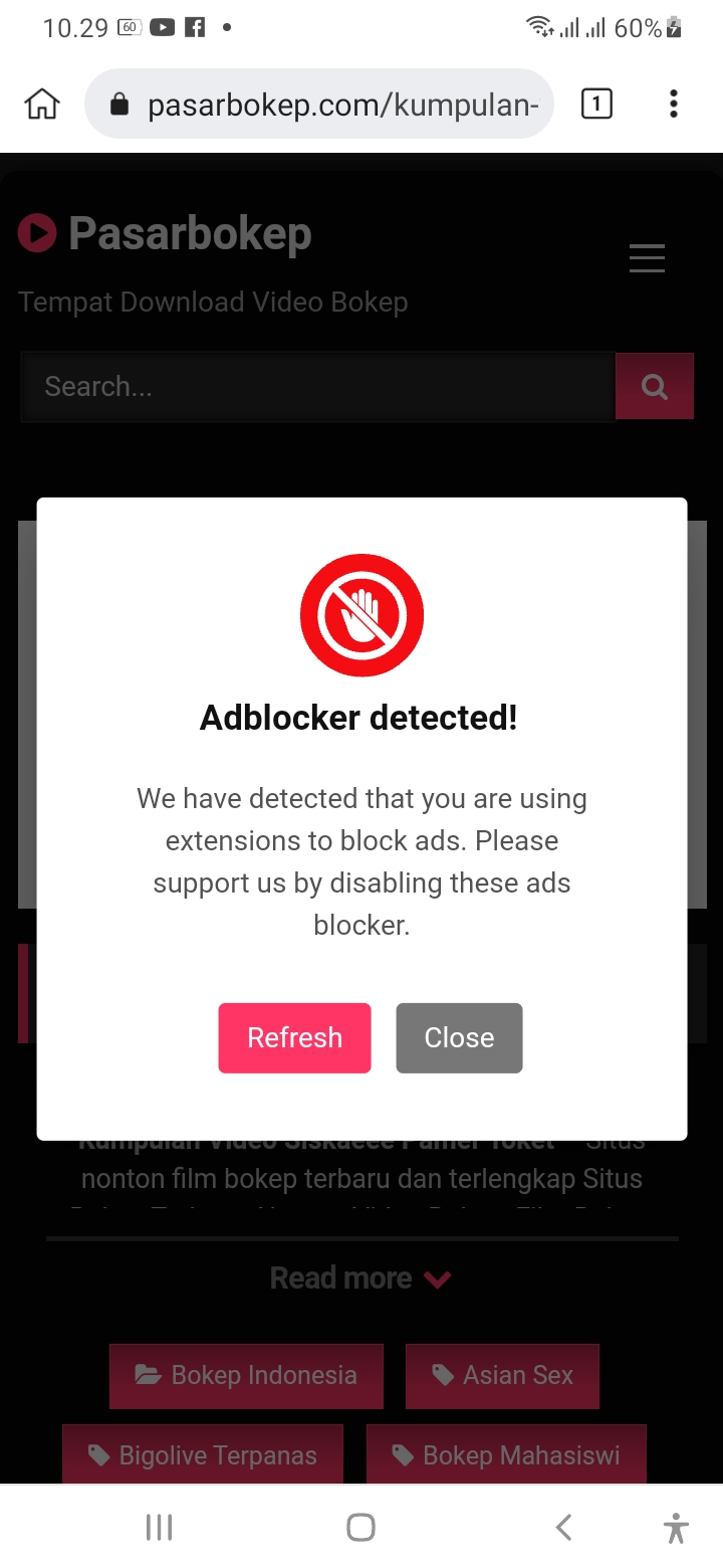 pasarbokep.com · Issue #1424 · realodix/AdBlockID · GitHub