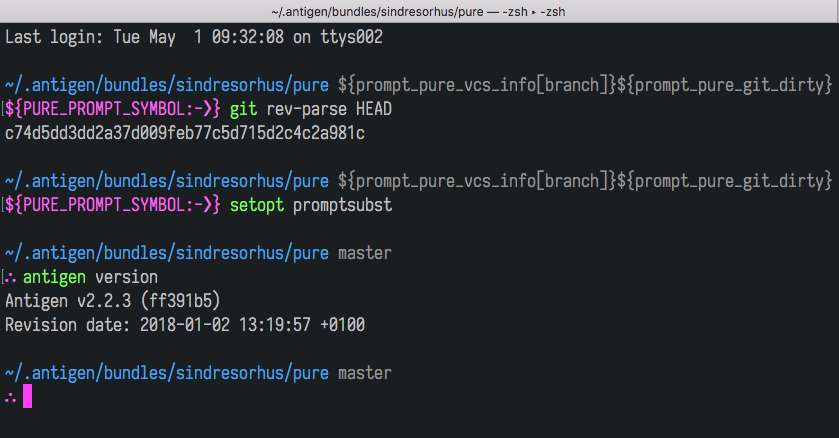 Pure prompt shows variables instead of their substituted values · Issue #401 · sindresorhus/pure ...