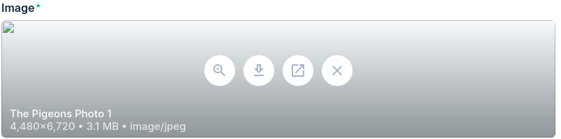 Display image error "too large" or similar, if an image exceeds the ...