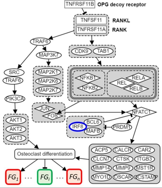 GitHub - Harry-Wang12/cTap