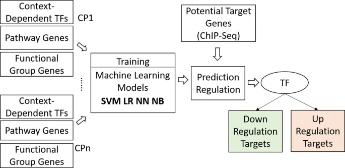 GitHub - Harry-Wang12/cTap