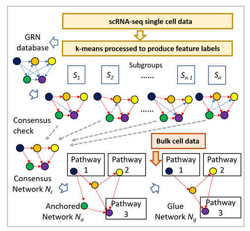 GitHub - Harry-Wang12/ctBuilder