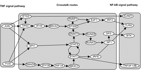 GitHub - Harry-Wang12/ctBuilder