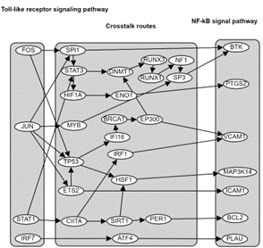 GitHub - Harry-Wang12/ctBuilder