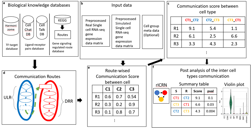 GitHub - Harry-Wang12/rCom