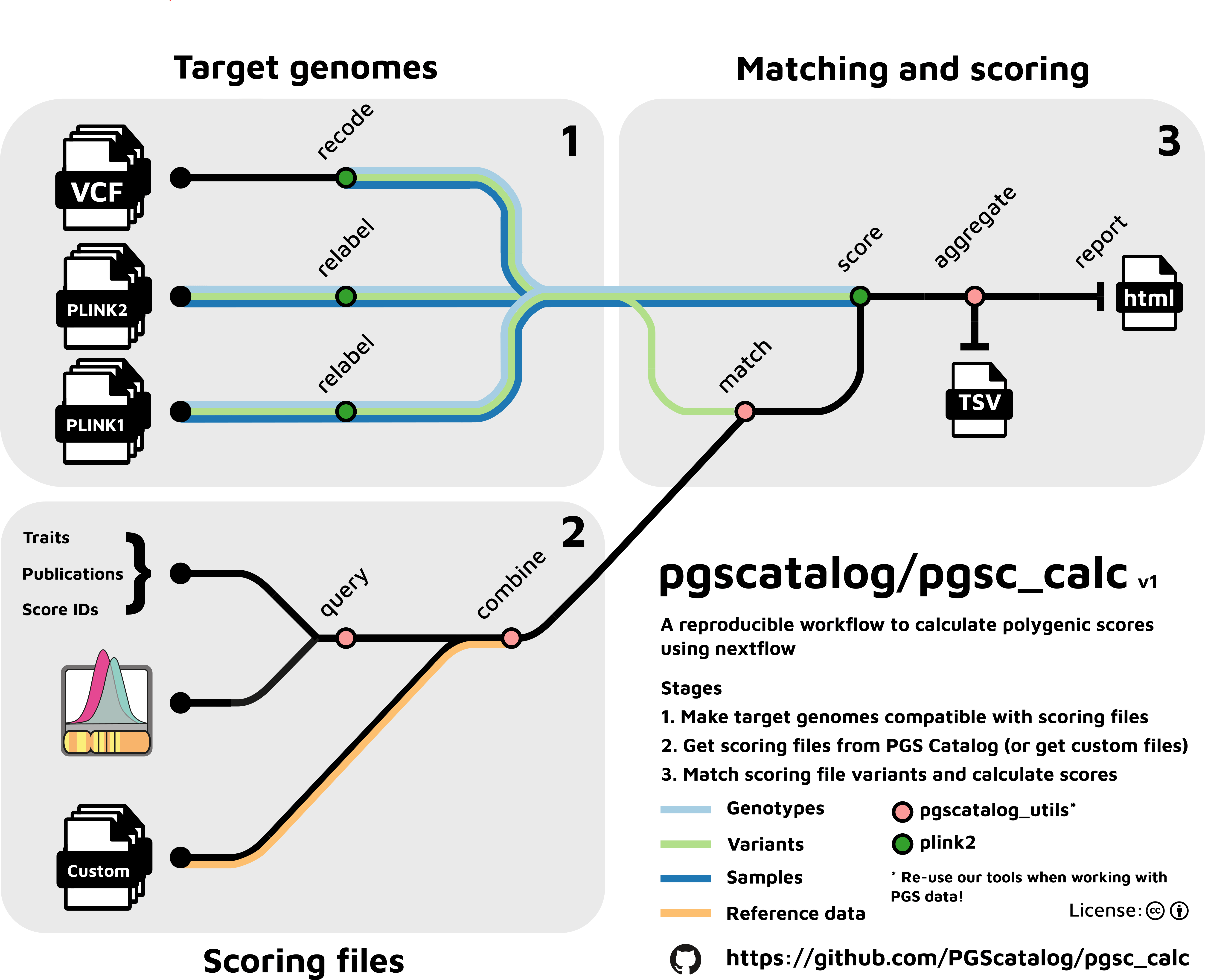 Pgsc calc A Reproducible Workflow To Calculate Polygenic Scores