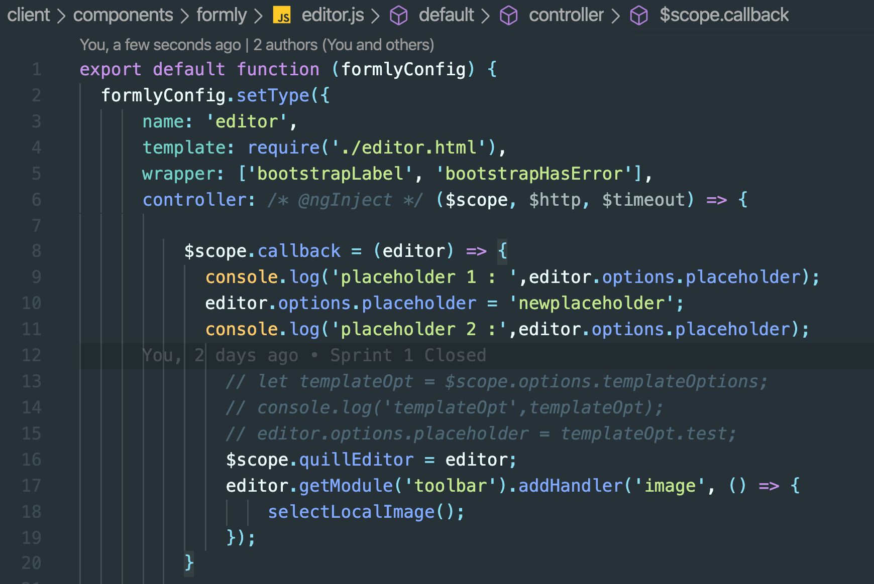 Set Optional Data via Formly · Issue #228 · KillerCodeMonkey/ng-quill · GitHub