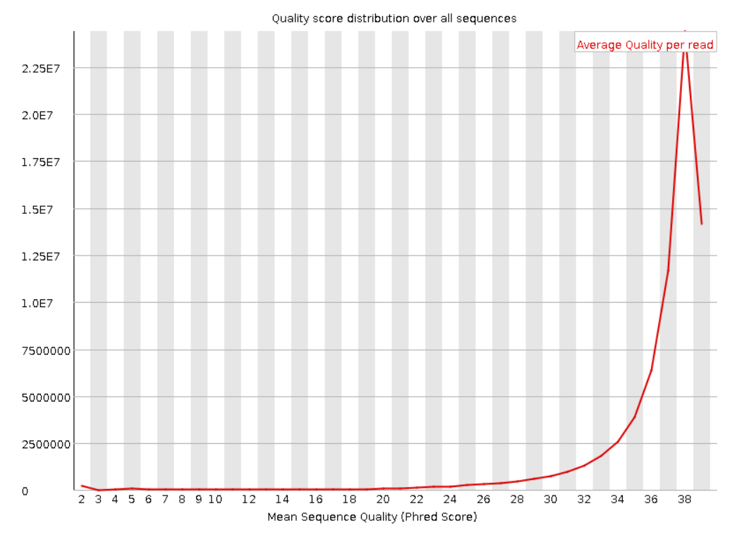 GitHub - TatyanaSidorova26/hse_hw2_chip