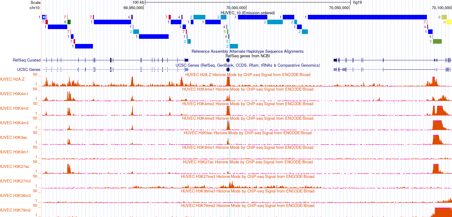 GitHub - TatyanaSidorova26/hse_hw3_chromhmm