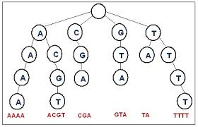 GitHub - tatemouser/SentimentAnalysis