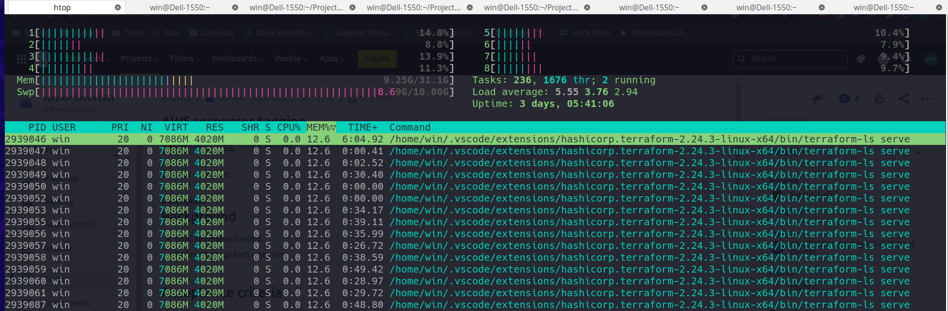 Many `terraform Ls` Processes Spawned And High Memory Usage · Issue 1100 · Hashicorp Terraform Ls